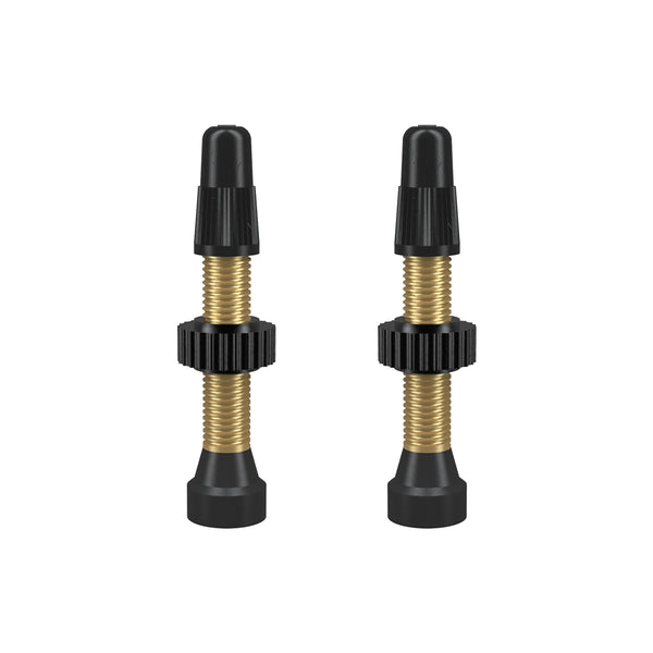 TCS Tubeless Valve Stems - Enhance Your Tubeless Setup – WTB